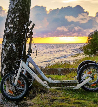 Tretroller für Erwachsene und Kinder • TretrollerLiebe